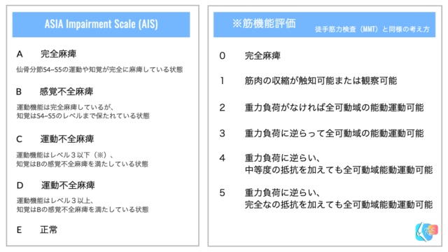 頚椎損傷・頚髄損傷の対応と治療方針｜回復のプロセスと生活改善のポイント